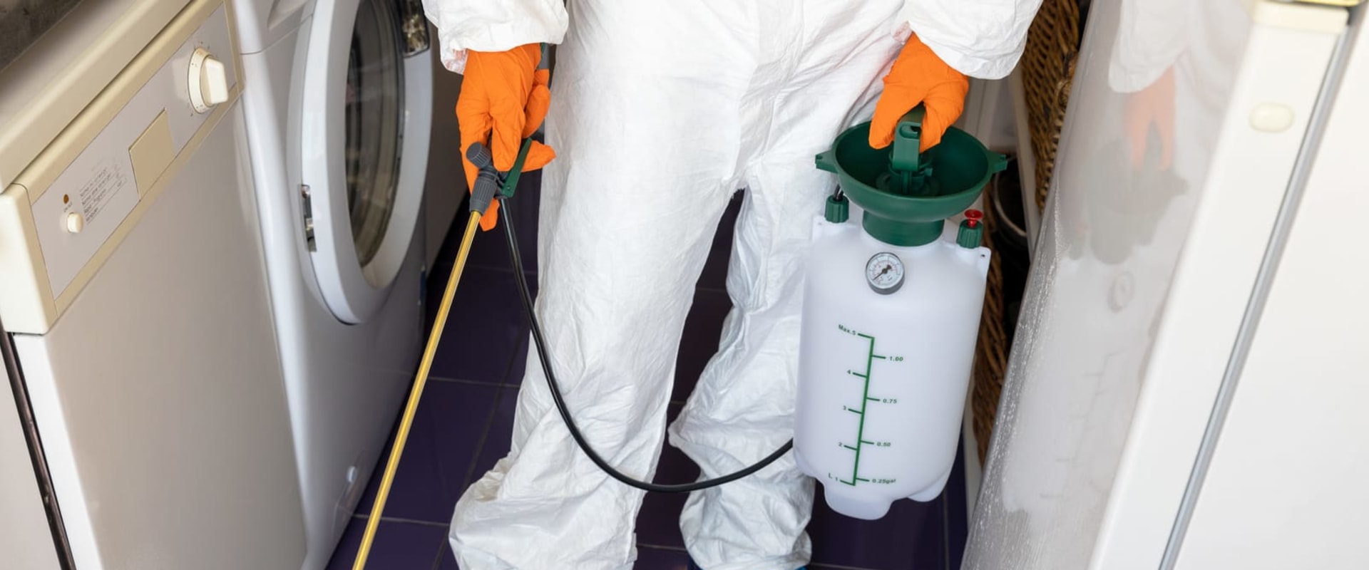 Why Is Pest Fumigation Important In A House Flipping Project In Beaver ...